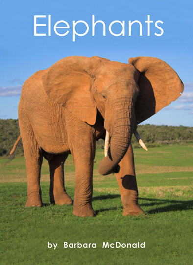 Elephants - Level K/18 - RR Books