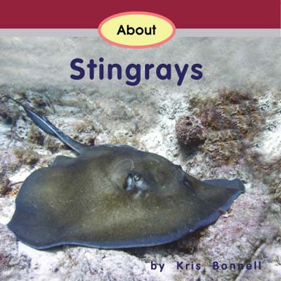 About Stingrays - Level E/8 - RR Books