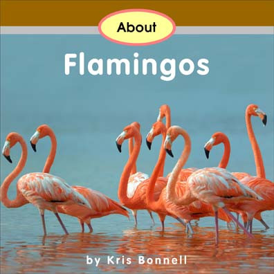 About Flamingos - Level E/7 - RR Books