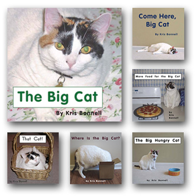 The Big Cat Set - RR Books