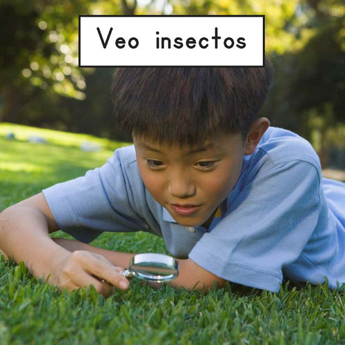 Veo Insectos - Level A/1 - RR Books