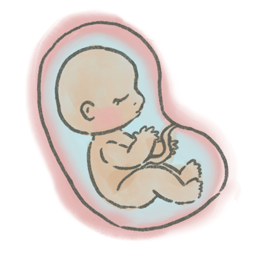 Swaddling Your Baby: What is the Fetal Position? - The Sleepy Company