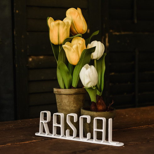 RASCAL WHITE TABLETOP METAL SIGN - JanMichaels Art and Home