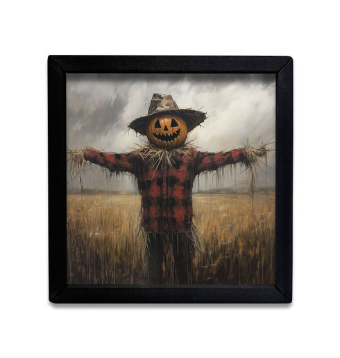 HMK237 Scarecrow Box Frame - JanMichaels Art and Home