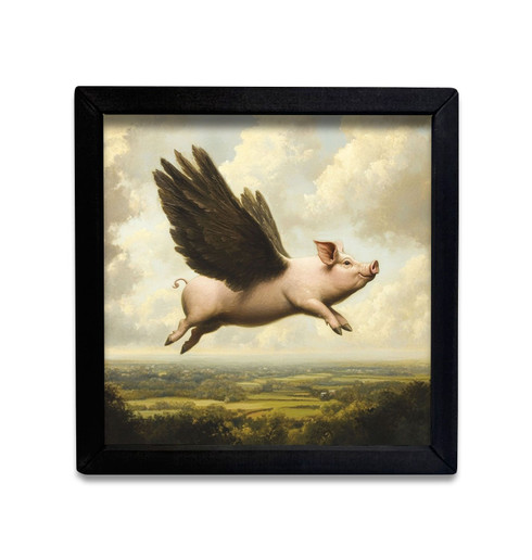 HMK686 Vintage Flying Pig Box Frame