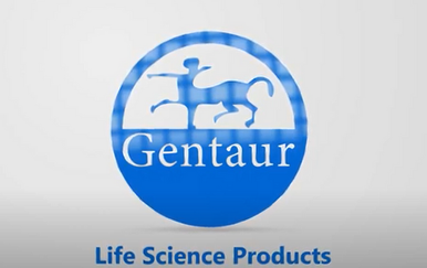 PET28A- SUMO plasmid | Gentaur Distribution US, UK & Europe