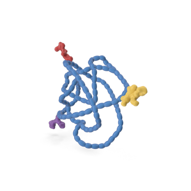 SDS-Blue™ Coomassie blue-based protein staining solution (Ready-To-Use ...