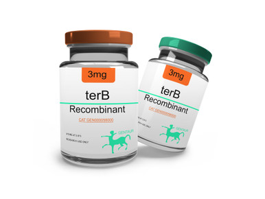 terB Recombinant | In Stock or Custom Made