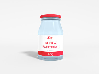 RUNX-2 Recombinant | In Stock or Custom Made