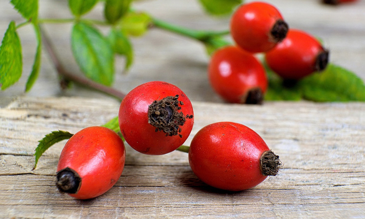 Benefits Of Rosehip Oil For Hair And Skin - Skin Beauty