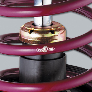 Vogtland Club Lowering Suspension Kit for 1996-2000 Mercedes-Benz C280 ...