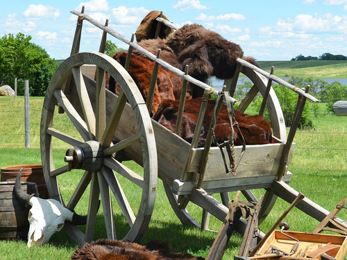 Replica Red River Cart - Custom Build - Hansen Wheel and Wagon Shop