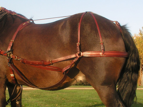Concord Stagecoach Harness