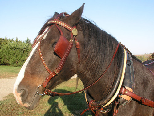 Concord Stagecoach Harness