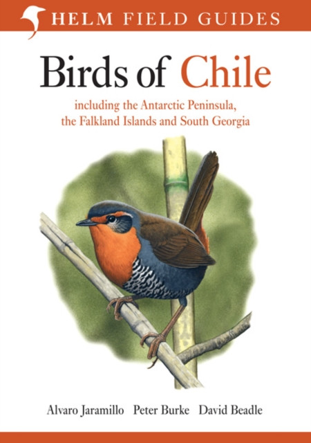 Birds of Chile - The Guardian Bookshop