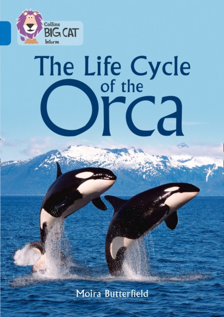 The Life Cycle of the Orca - The Guardian Bookshop