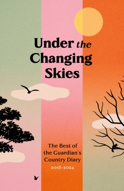 Under the Changing Skies - The Guardian Bookshop