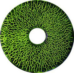 Mag Particle Accessories - Magnetic Particle Materials - Gauss Meters ...