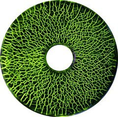 Magnetic Particle Test Block - MTU-3 Block - NDTSupply.com