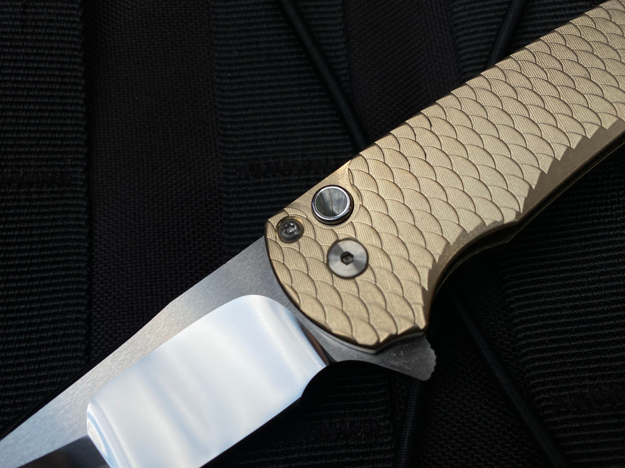 Pro-Tech Custom Malibu | Brnz Dragon Scale and Mirror | NTL