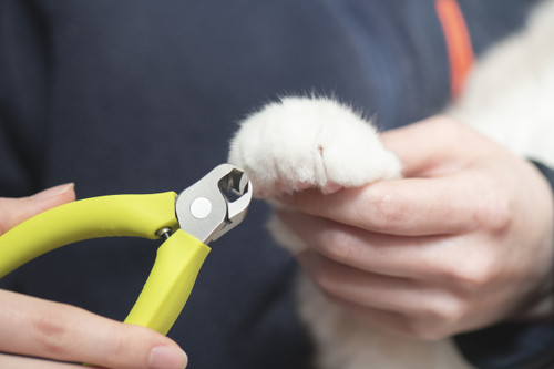 SUWADA Pet Nail Nipper | Japan Since 1926