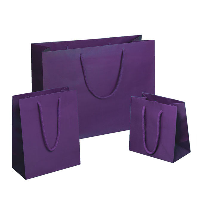 Matte Finish Euro Bags with Rope Handles