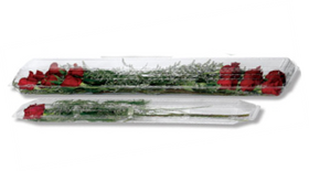 Floral Boxes and Delivery Trays - Wrapsmart