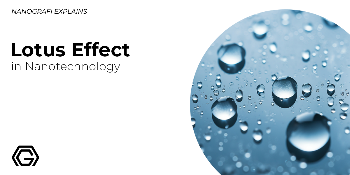 Lotus Effect in Nanotechnology - Nanografi Advanced Materials
