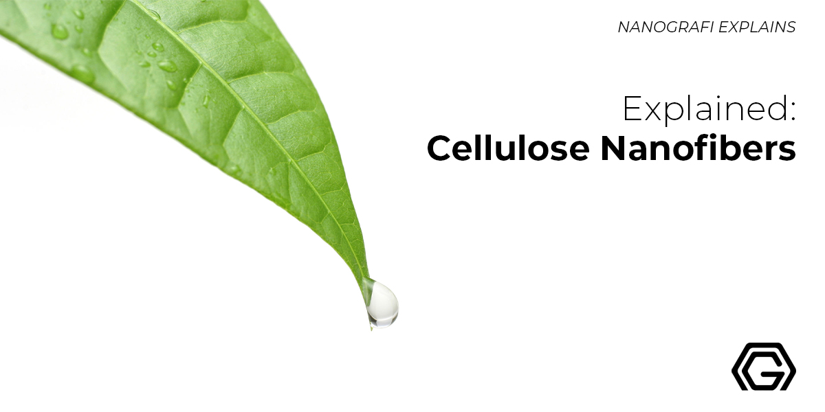 Explained: Cellulose Nanofibers - Nanografi Advanced Materials