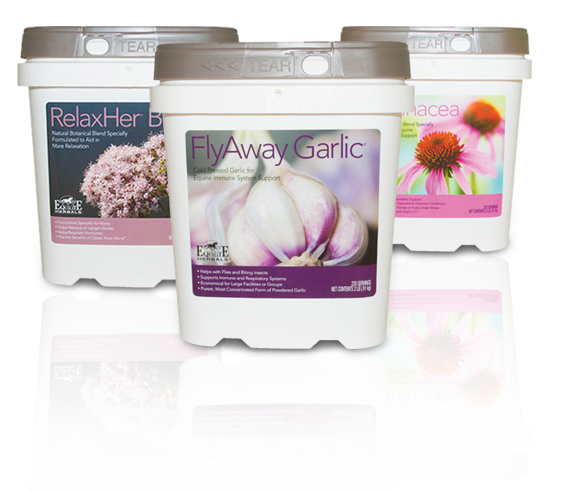 Equilite Herbals - Herbal Supplements For Horses