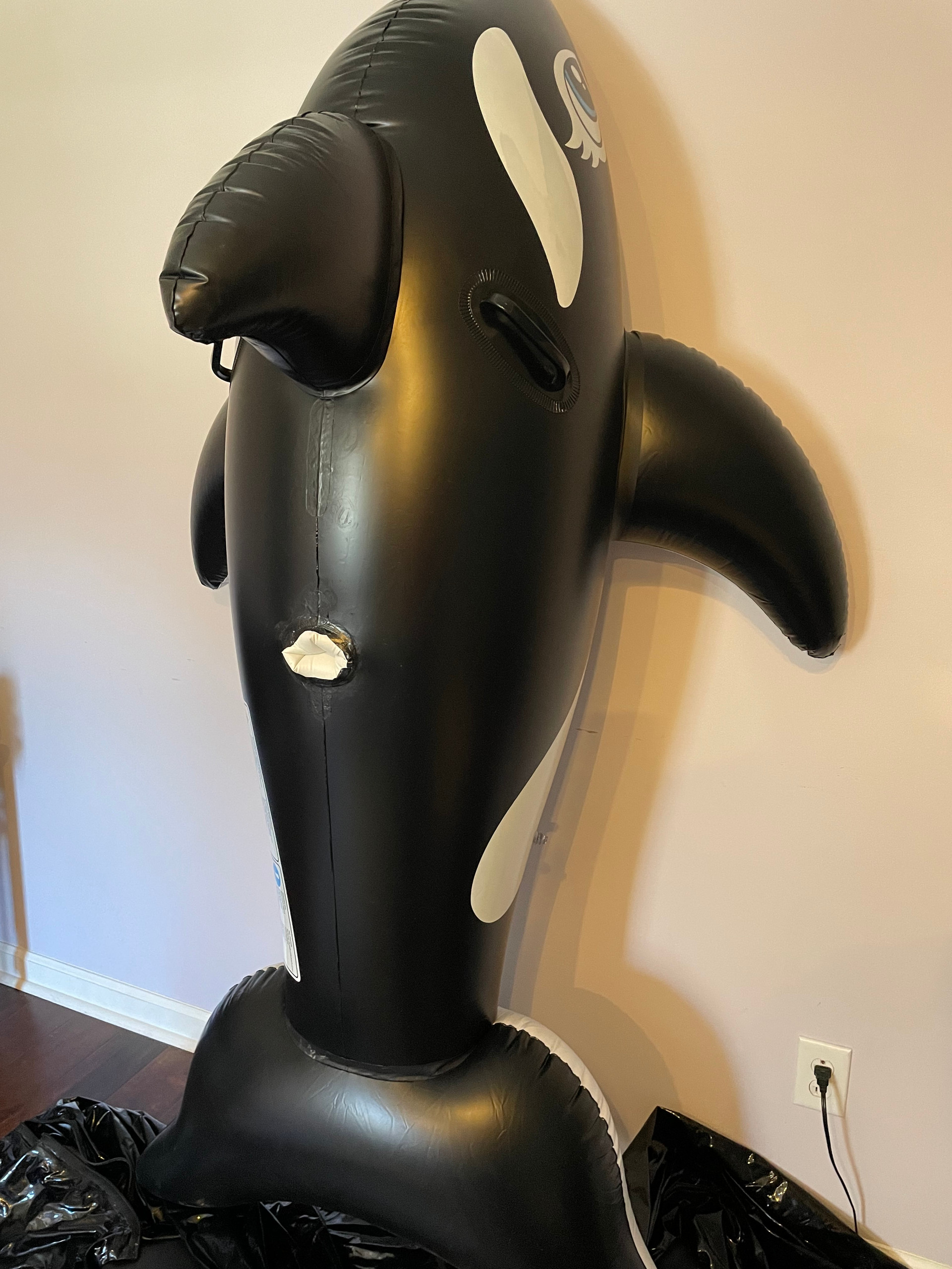 Animals - Page 1 - Candy Coated