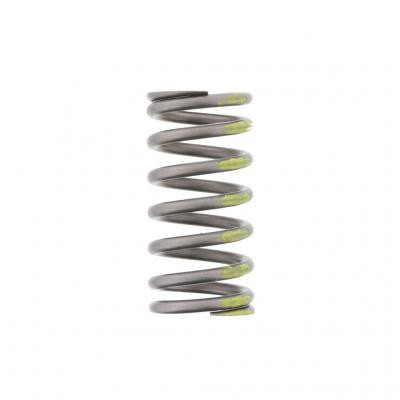 PAI Industries 8161 MACK E7 ETECH VALVE SPRING