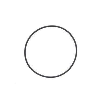 PAI 321316 CAT 3406E C15 Housing O-Ring Replaces 1075769