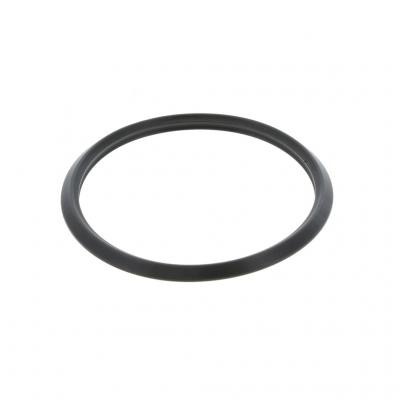 PAI 740024 Thermostat Seal Replaces A0249972848