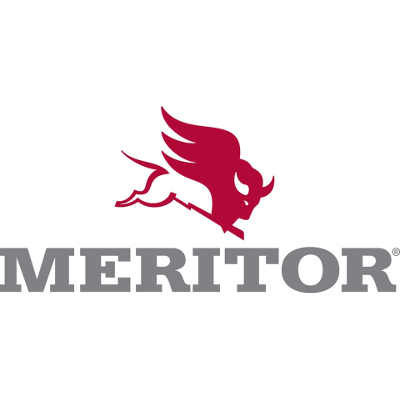 Meritor A33235N1106 - Differential Case and Nest Assembly