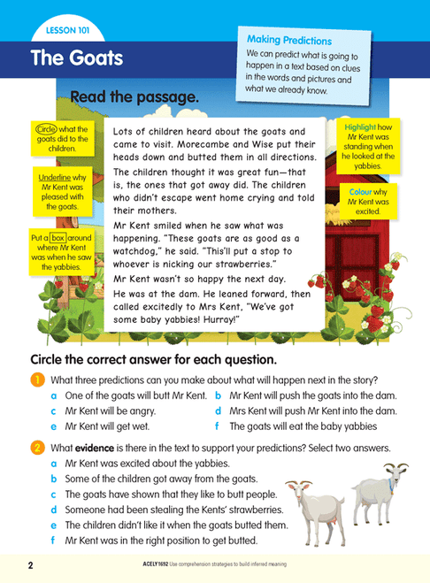 Year 4 Reading Comprehension and Grammar Workbook