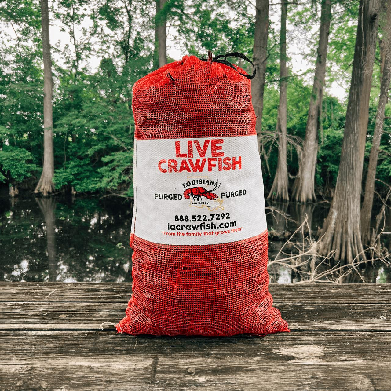 *PURGED* Live Crawfish By the Pound