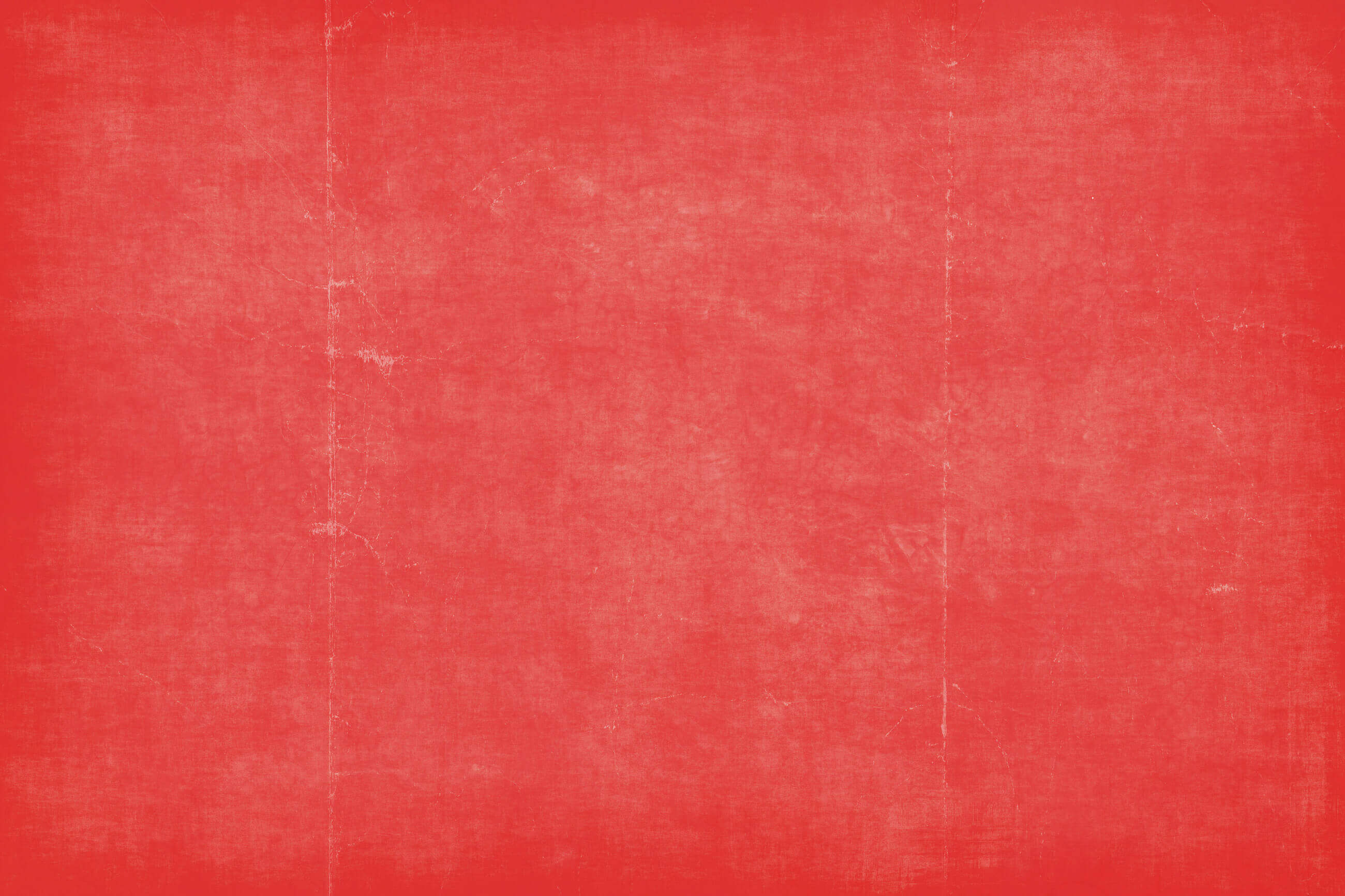 Swamp Bucket Seafood Boiler