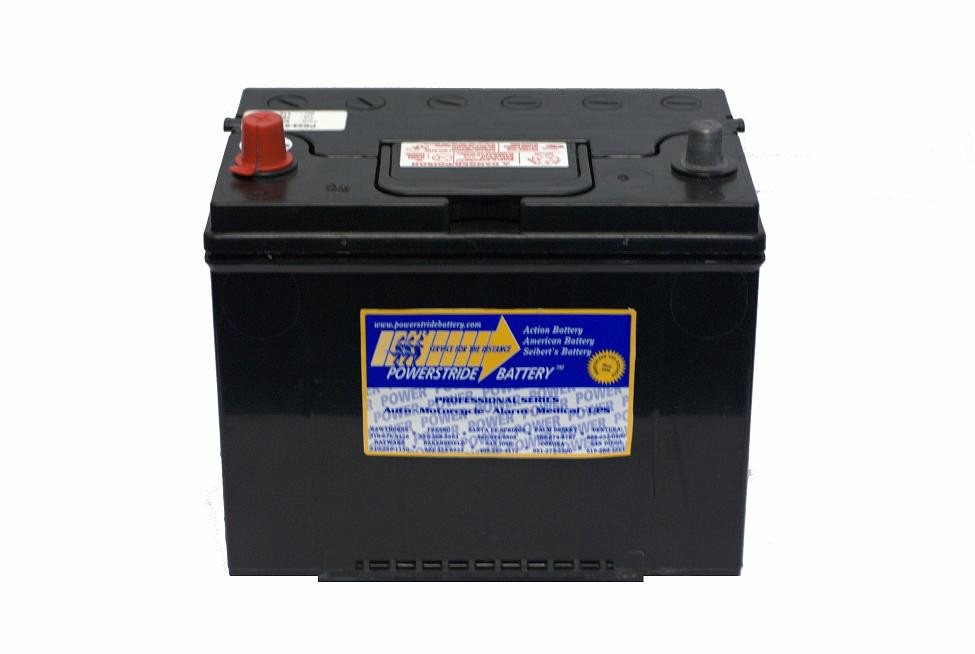 Powerstride - Nissan D21 Pickup Battery (1993-1991)