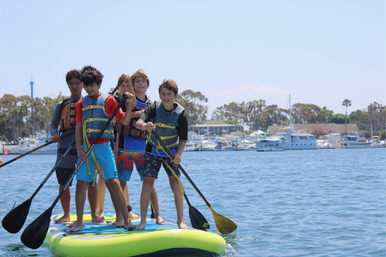 Megalodon Stand Up Paddleboard Rental