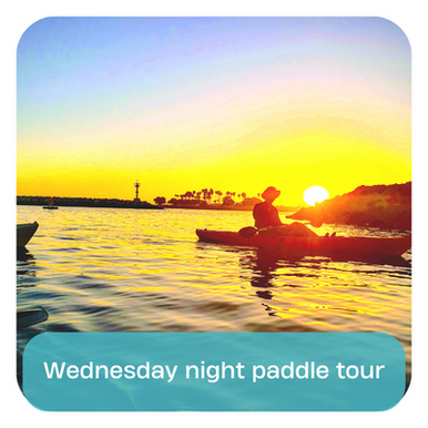Wednesday night social paddle & tour