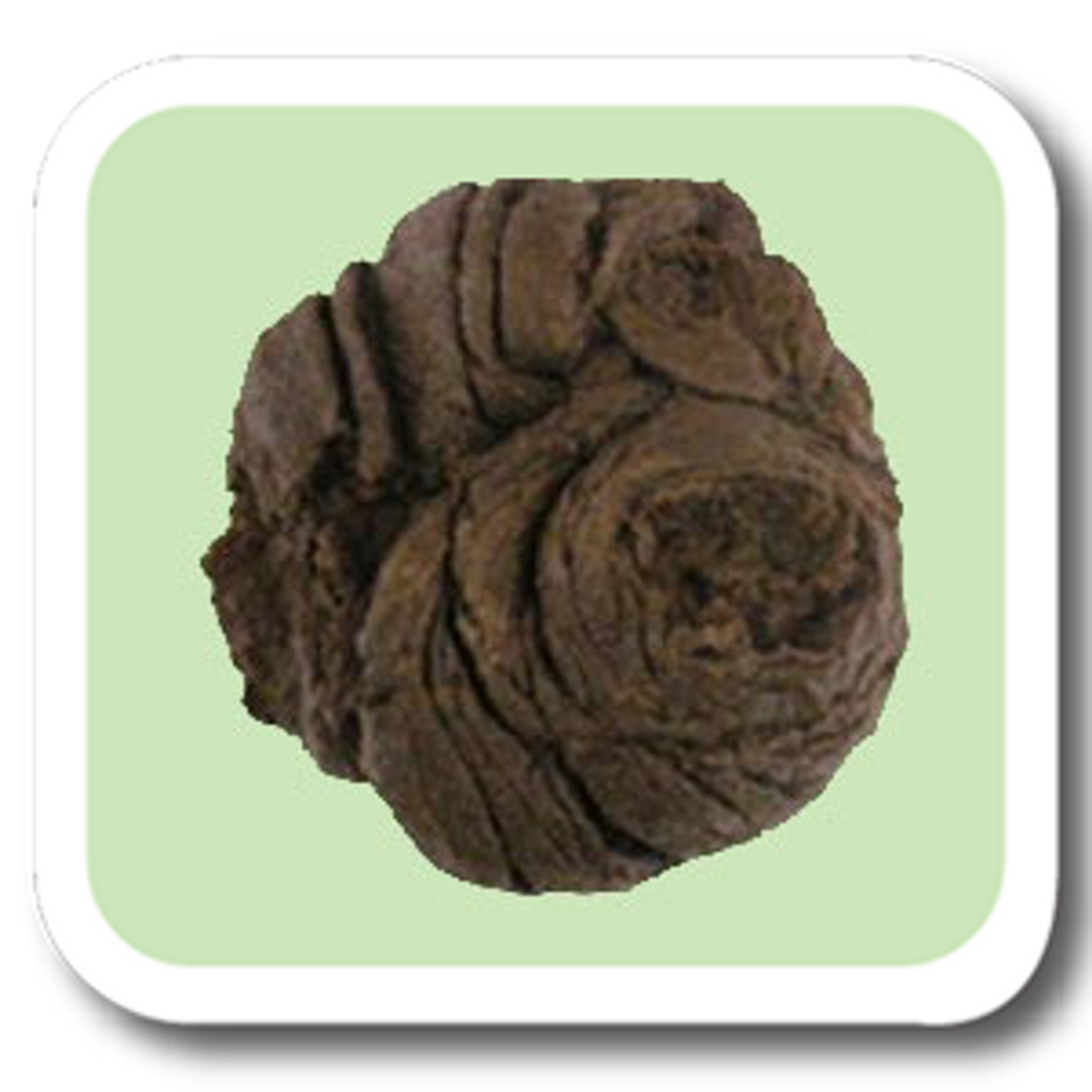 Buffalo Scat Replica buffalo-scat-replica