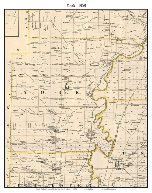 York, New York 1858 Old Town Map Custom Print - Livingston Co. - OLD MAPS