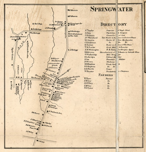 Springwater Village, New York 1858 Old Town Map Custom Print ...