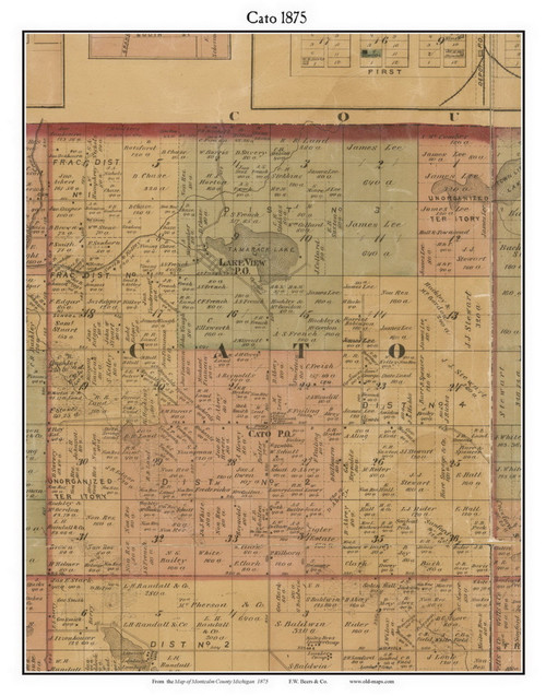 Cato, Michigan 1875 Old Town Map Custom Print - Montcalm Co. - OLD MAPS