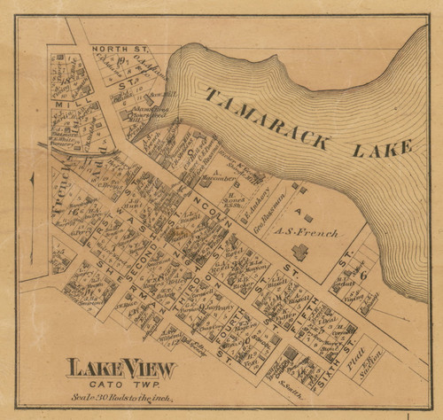 Lake View Village, Michigan 1875 Old Town Map Custom Print - Montcalm ...
