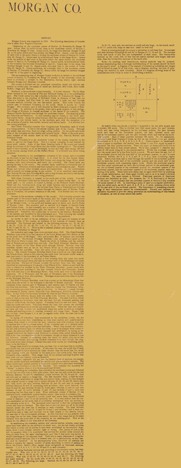 History, Morgan County, Missouri 1880 Old Town Map Custom Print - OLD MAPS
