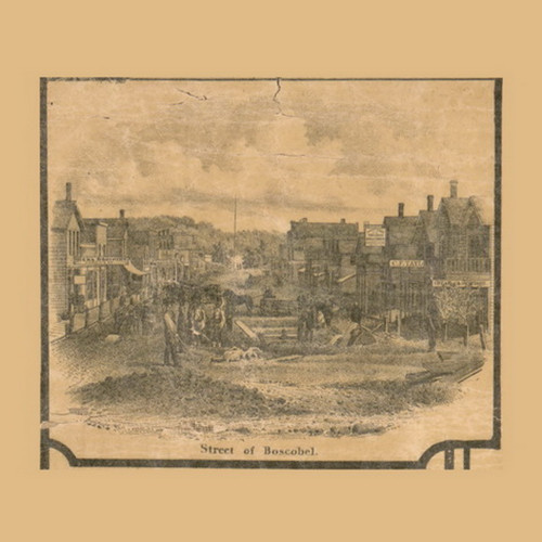 Street View in Boscobel, Wisconsin 1868 Old Town Map Custom Print ...