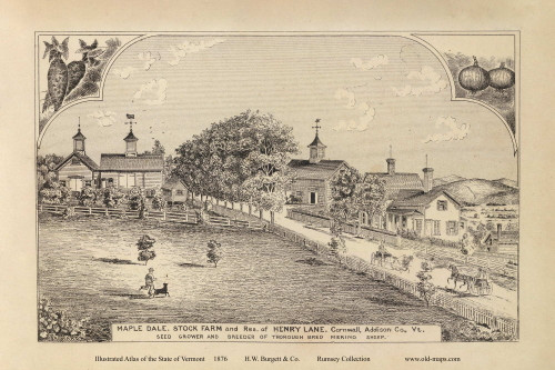 Maple Dale Stock Farm & Residence of Henry Lane, Cornwall 1876- from ...