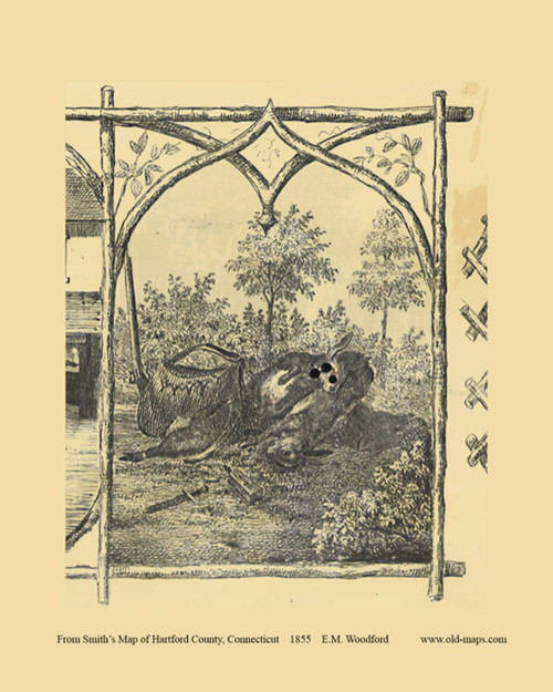Rabbit Hunting Picture - Connecticut 1855 Old Town Map Custom Print ...